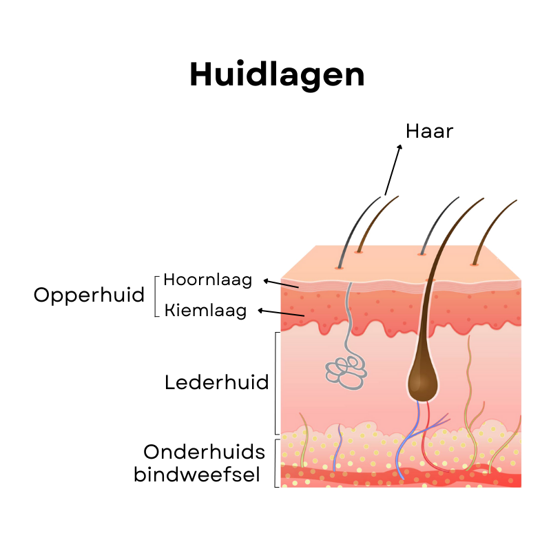 Zelfbruiners: hoe kies en gebruik je ze veilig