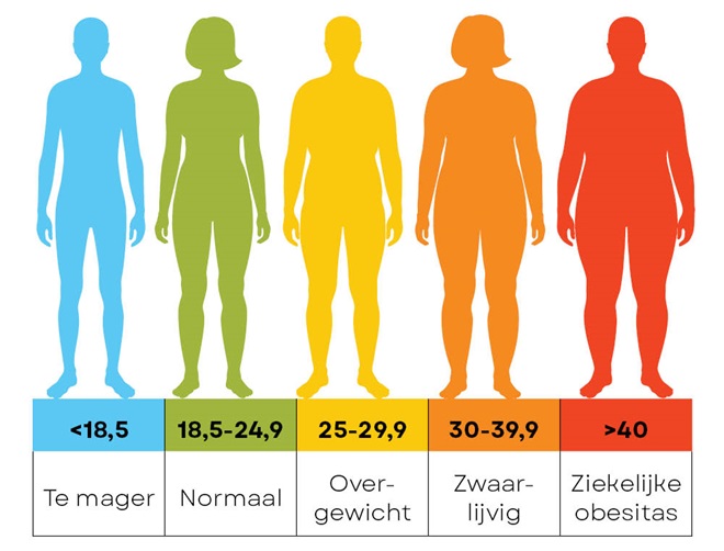 Obesitas en overgewicht: oorzaken, risico's en mogelijke oplossingen